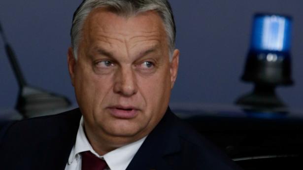 Helle Ib: Slut med dansk kyllingeadfærd i EU – udviklingen taler for ...