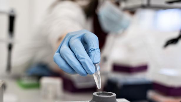 Debat | Dansk Industri: Biosolutions kan blive en vinderopskrift for både virksomheder og klima