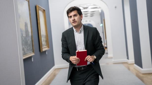 Helle Ib: SVM må løse udlændingeproblemer frem for bare at tale om dem