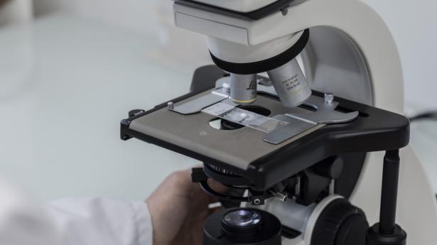 Zombierne giver dig rynker, men holder dig i live