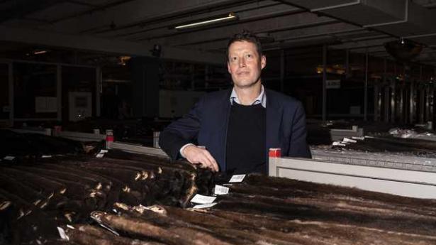 Krisen i pelsbranchen er ikke slut: Priserne er katastrofalt lave, kun ...