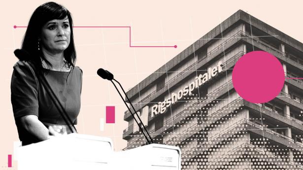 Regeringen i 2024: Det store eksperiment